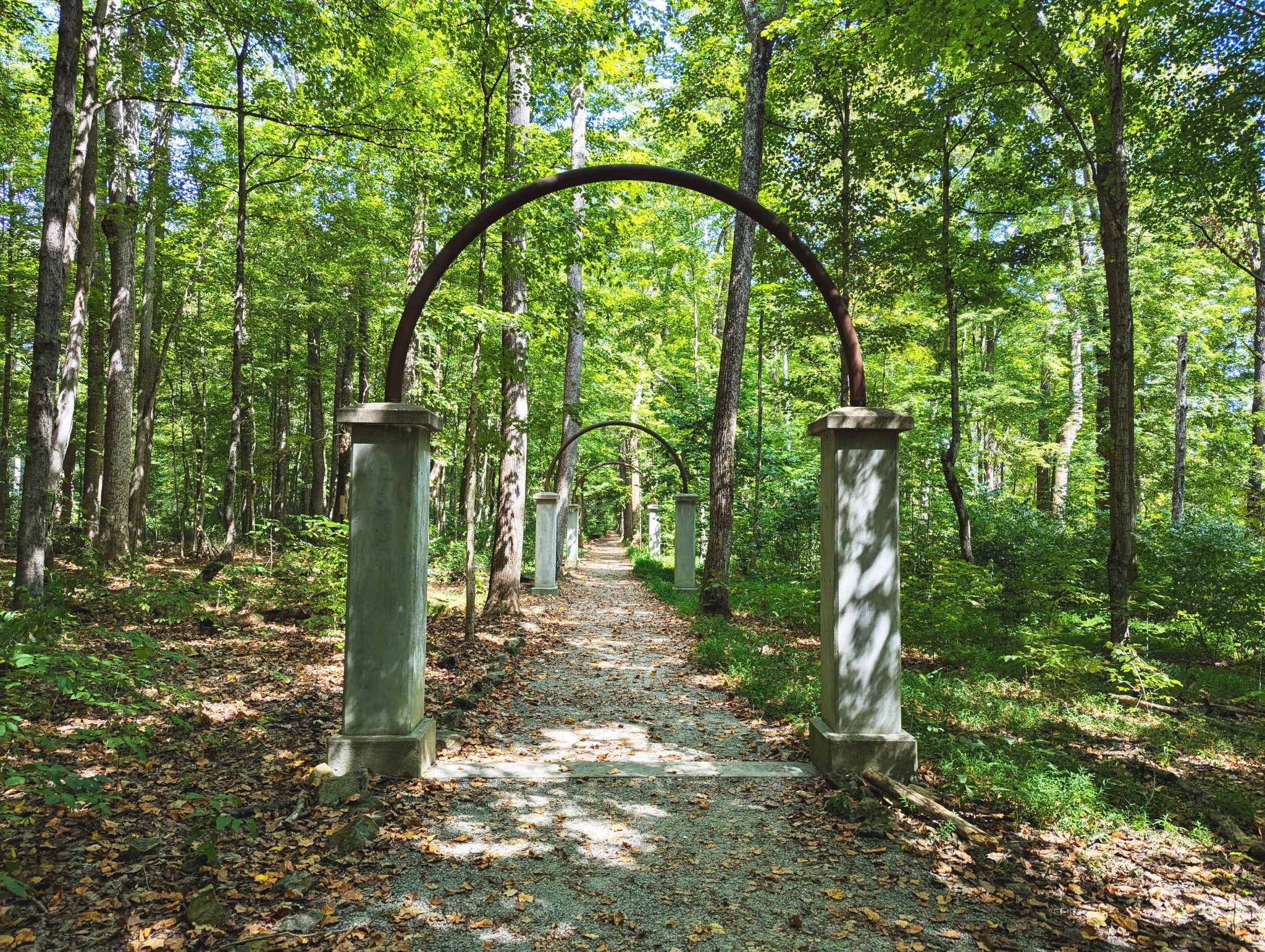 Rose Island: Man Made / Nature Made – Blue Ribbon Team
